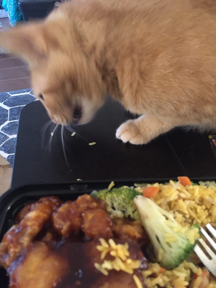 GOOD JERRY - Updated August 2024 - 51 Photos & 64 Reviews - 8845 ...