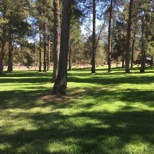 TUMALO STATE PARK - 68 Photos & 46 Reviews - Hiking - 64120 O B Riley ...