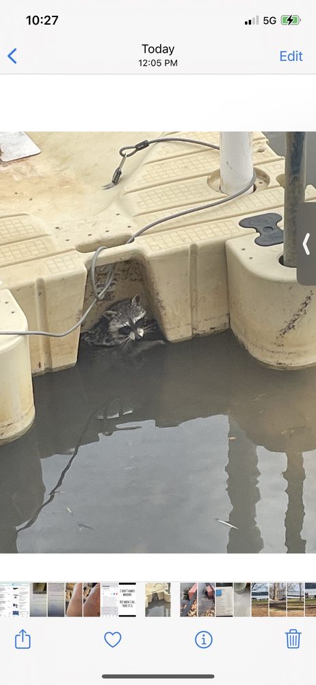 DECATUR / WHEELER LAKE KOA - Updated August 2025 - 36 Photos & 21 ...