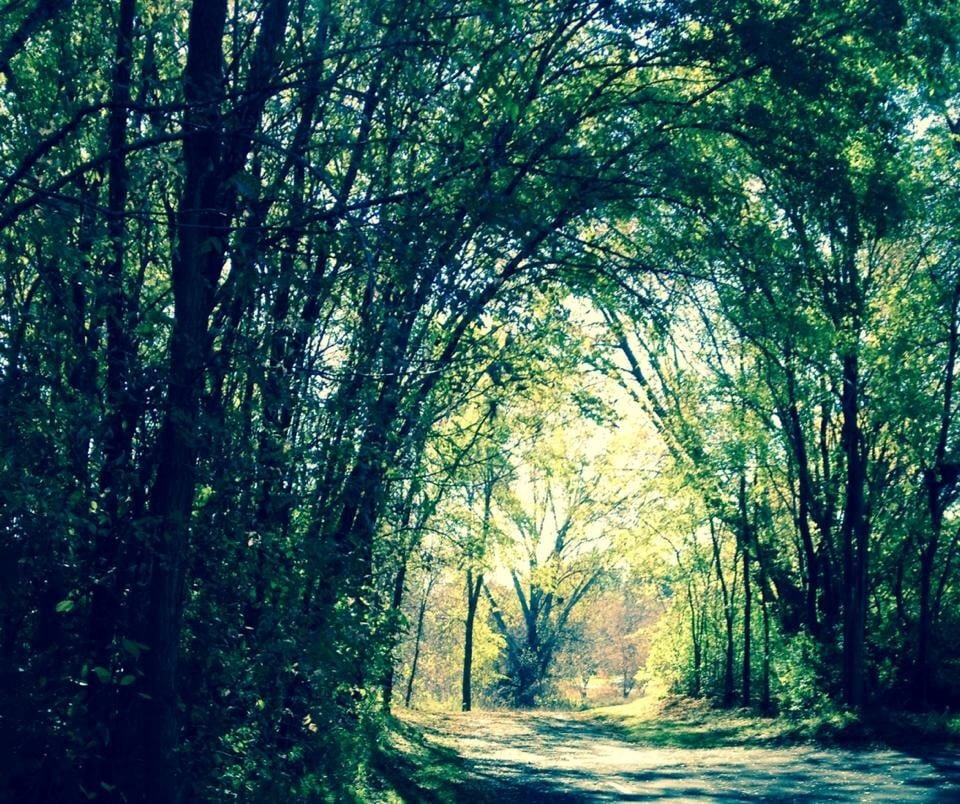 STARING LAKE DOG PARK - Updated September 2025 - 17 Photos - 13800 ...