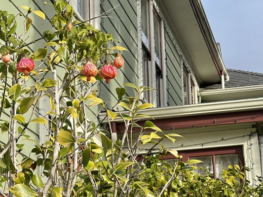 CENTRELLA HOTEL - Updated December 2025 - 290 Photos & 260 Reviews - 12 ...