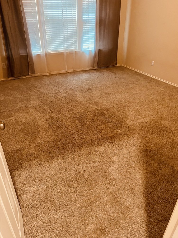 USA CLEAN MASTER - Updated July 2025 - 42 Photos - 3223 Lemmon Ave ...