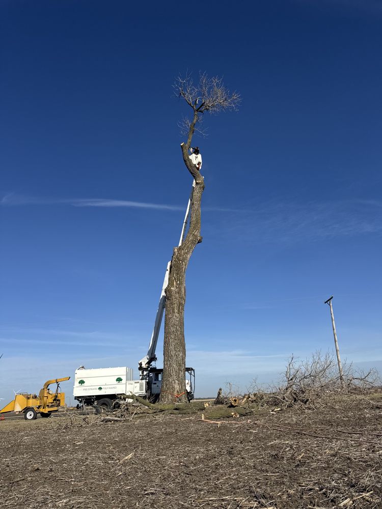 CUTTING EDGE TREE SERVICE - Updated October 2025 - Streator, Illinois ...