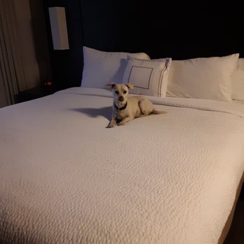 RESIDENCE INN RENO SPARKS - Updated December 2024 - 170 Photos & 43 ...