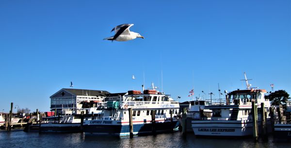 CAPTREE STATE PARK - Updated February 2025 - 348 Photos & 50 Reviews ...