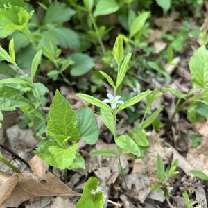 FOSTER ARENDS PARK - Updated December 2025 - 72 Photos - 4109 E River ...