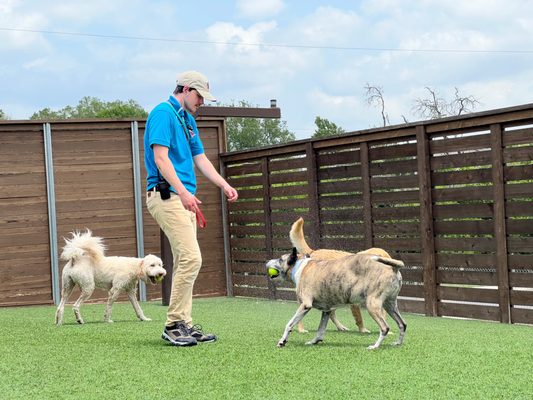 BARKARITAVILLE PET RESORT - Updated May 2026 - 22 Photos & 31 Reviews ...