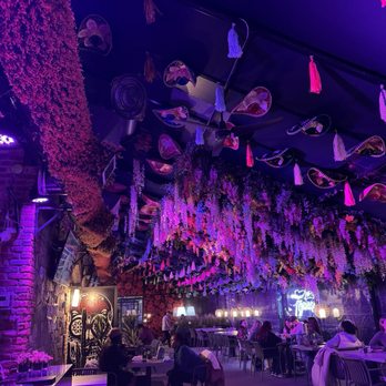 LITTLE TIJUANA - Updated January 2025 - 619 Photos & 403 Reviews - 538 ...