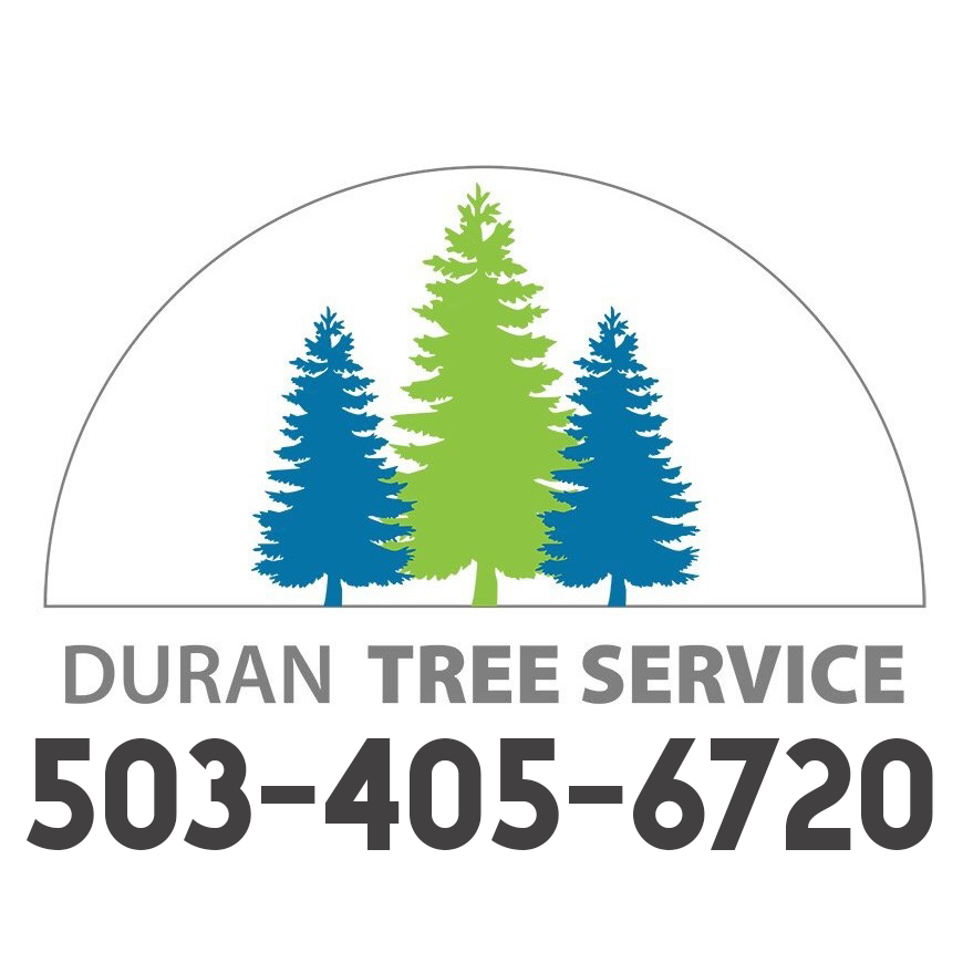 DURAN TREE SERVICE - Updated July 2025 - 14 Photos & 12 Reviews - 2459 ...