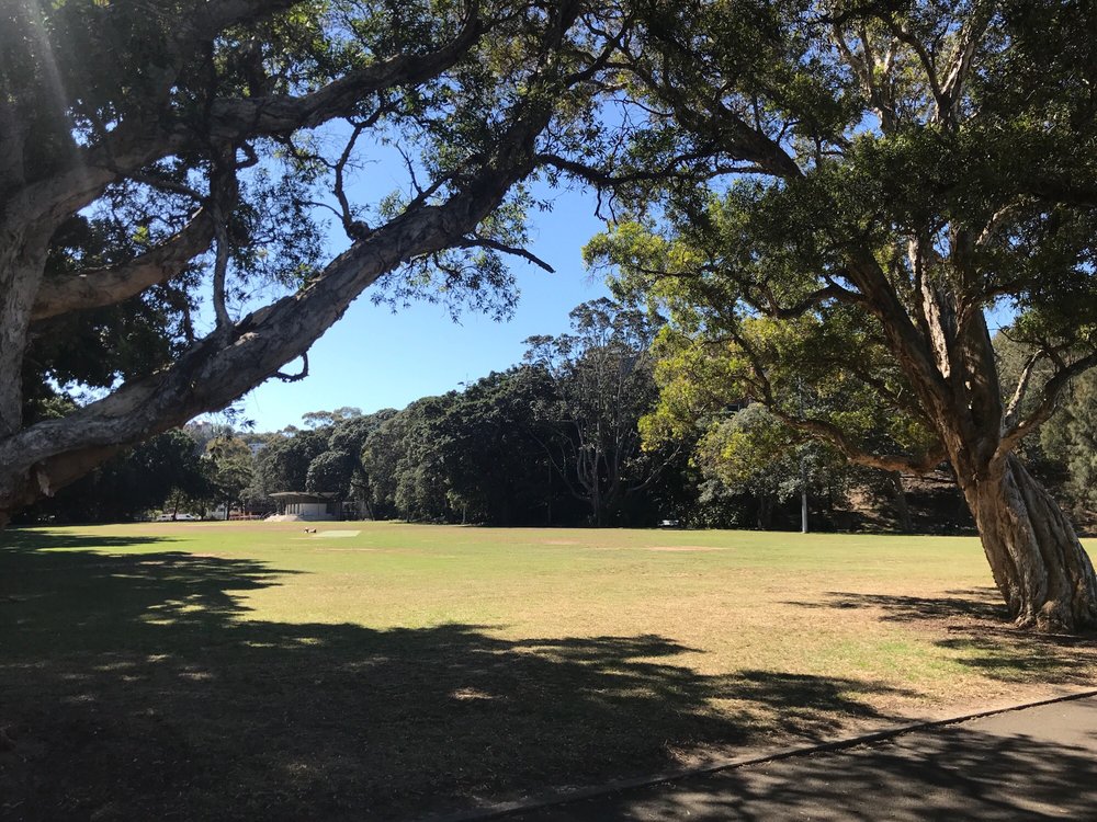 ANDERSON PARK - Updated July 2024 - Clark Rd, Neutral Bay New South ...