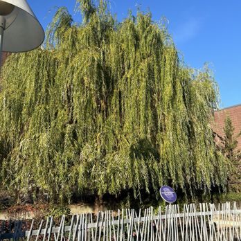 GATEWAY CENTER - Updated December 2025 - 141 Photos & 106 Reviews - 501 ...