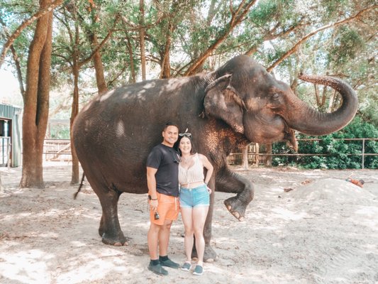 TWO TAILS RANCH - 98 Photos & 74 Reviews - Zoos - 18655 NE 81st St ...