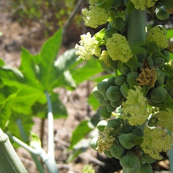 DEFOREST PARK - Updated December 2025 - 38 Photos & 15 Reviews - 6255 ...