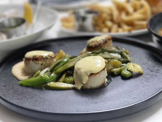 VELVET BELLY - Updated June 2025 - 289 Photos & 97 Reviews - 3 ...