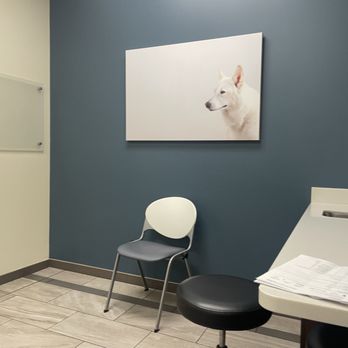 VCA WEST COAST SPECIALTY AND EMERGENCY ANIMAL HOSPITAL - 216 Photos ...