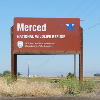 MERCED NATIONAL WILDLIFE REFUGE - Updated December 2024 - 115 Photos ...