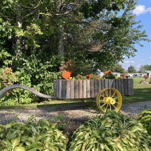 CYR BUS LINE - Updated April 2025 - 14 Photos - 153 Gilman Falls Ave ...