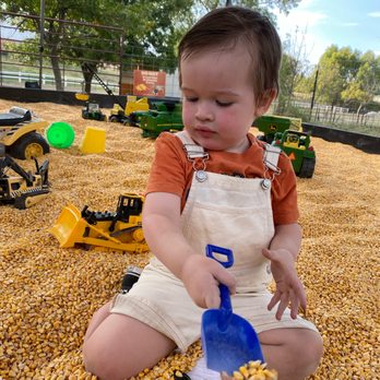 HUDDIN HOMESTEAD FUN FARM - Updated June 2025 - 45 Photos - 1666 FM1141 ...