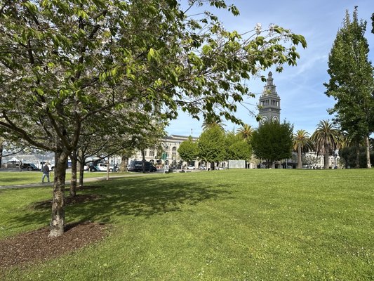 SUE BIERMAN PARK - Updated October 2025 - 180 Photos & 14 Reviews - 216 ...