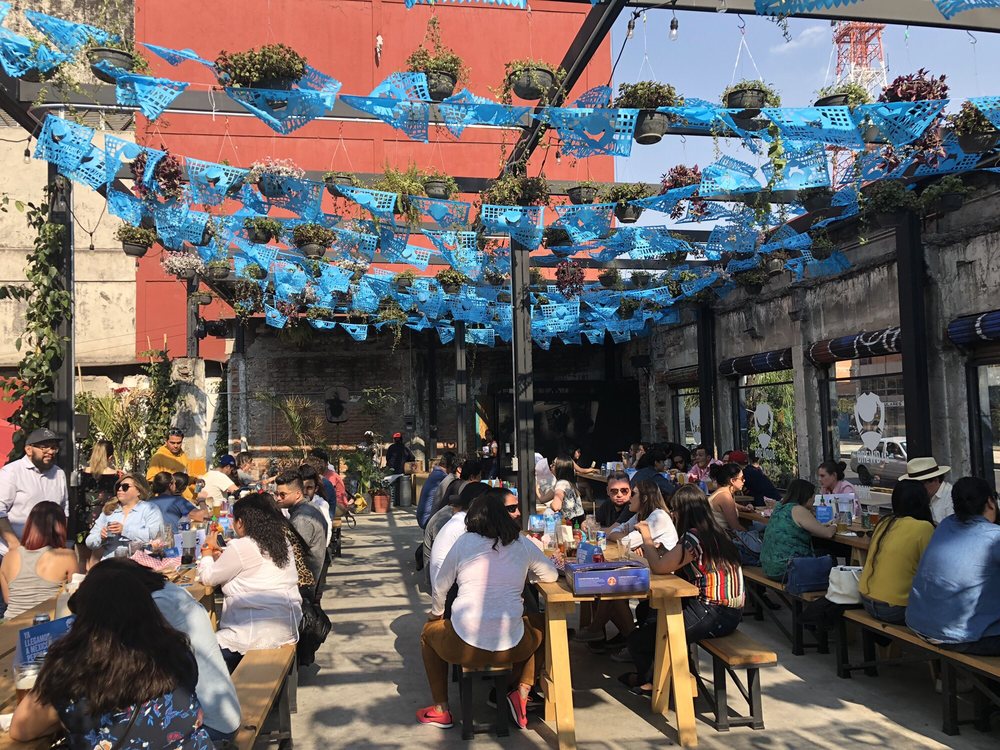 JARDIN JUAREZ - Updated October 2025 - 19 Photos - Av Chapultepec 61 ...