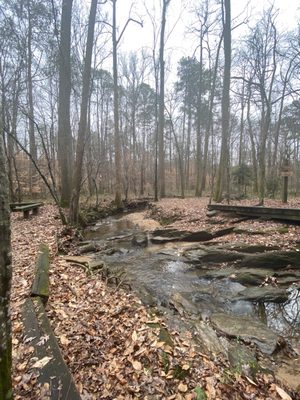 BIG TREES FOREST PRESERVE - 119 Photos & 43 Reviews - 7645 Roswell Rd ...