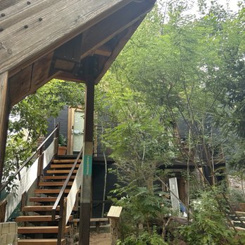 FOREST ROOM 5 - Updated January 2026 - 248 Photos & 823 Real Reviews ...