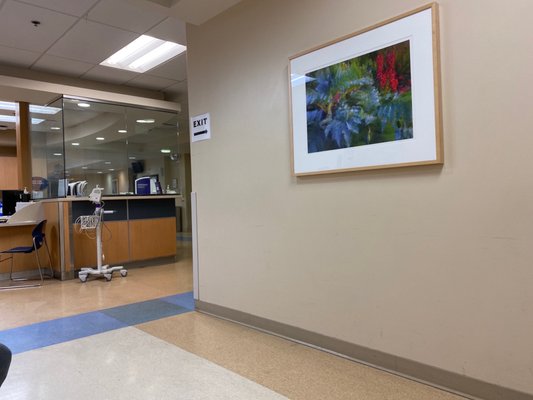 RENOWN REGIONAL MEDICAL CENTER - Updated November 2024 - 196 Photos ...