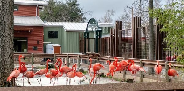 CHARLES PADDOCK ZOO - 222 Photos & 118 Reviews - Zoos - 9100 Morro Rd ...