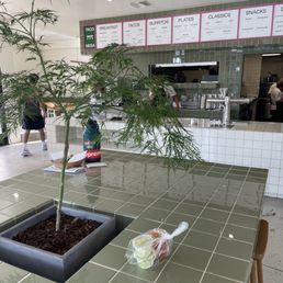 TACO MESA - Updated December 2025 - 131 Photos & 117 Reviews - 5781 E ...