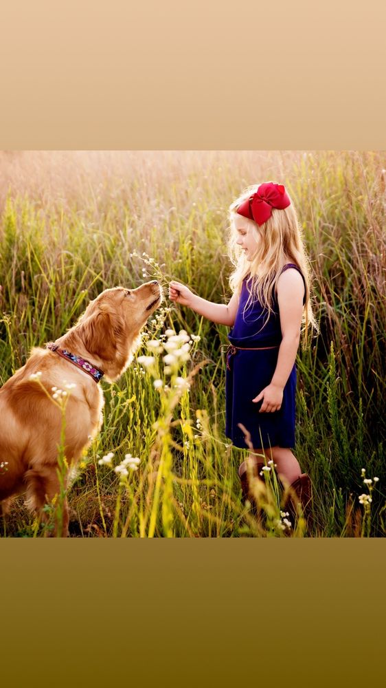 Glenn Grampp Attorney At Law - Serving Evansville, IN - Updated ...