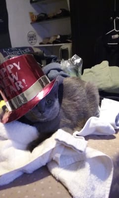 VETERANS MULTI-SERVICE CENTER - Updated December 2025 - 213 N 4th St ...