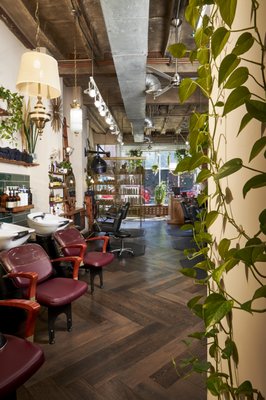 PENNY LANE HAIR STUDIOS - Updated September 2025 - 81 Photos & 220 ...