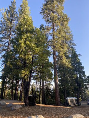 ICE HOUSE CAMPGROUND - Updated September 2025 - 32 Photos & 25 Reviews ...