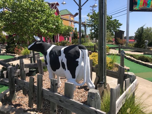 GRAND COUNTRY FUN SPOT - Updated August 2024 - 49 Photos & 39 Reviews ...