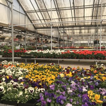 GOLDEN ACRE HOME & GARDEN - Updated January 2026 - 21 Photos & 23 ...