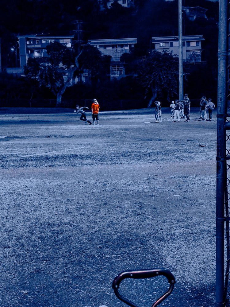 WILSON COMMUNITY PARK - Updated October 2025 - 39 Photos - 4901 Kilauea ...