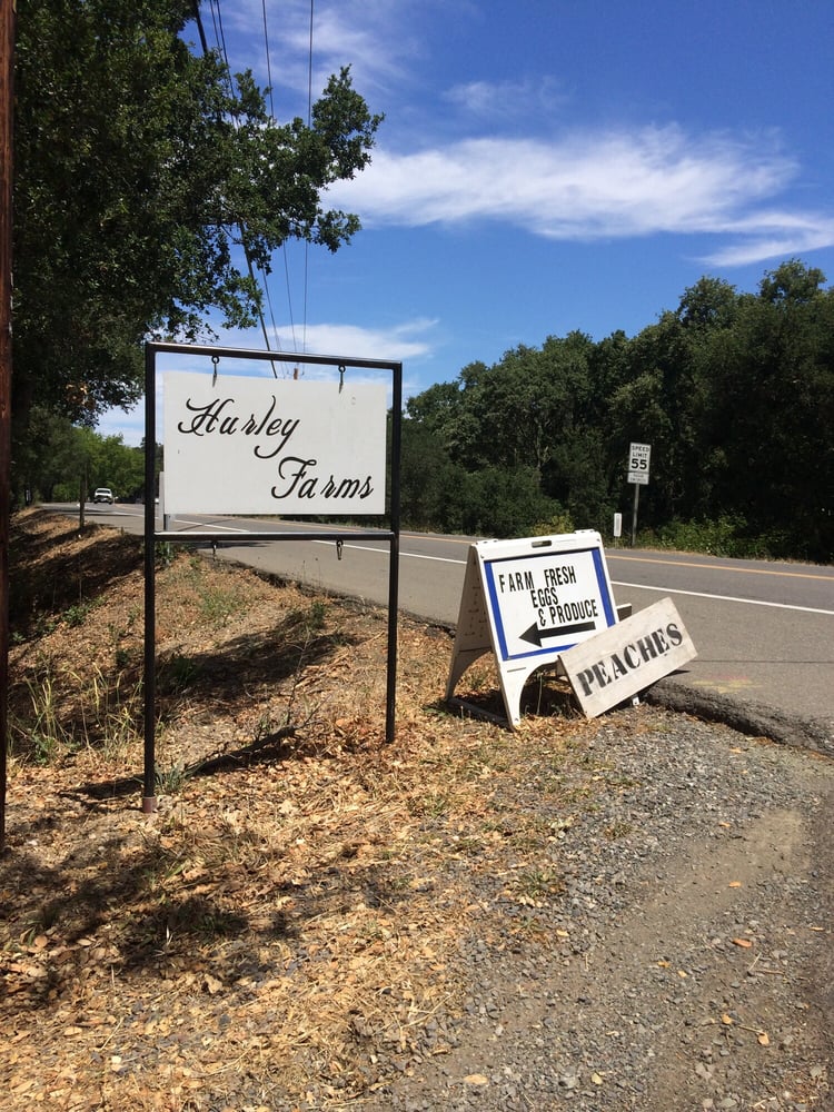 THE RUSTIC ORCHARD - Updated September 2025 - 2083 Silverado Trl, Napa ...