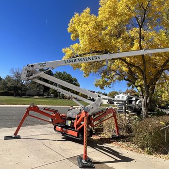 LIMB WALKERS TREE SERVICE - Updated June 2025 - 168 Photos & 119 ...