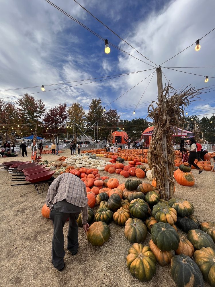 RANDY’S PUMPKIN PATCH - 136 Photos & 46 Reviews - 1460 Lawrenceville ...
