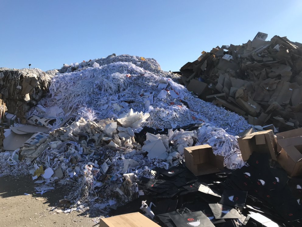 TIGER SHARK JUNK REMOVAL - Updated December 2024 - 16 Photos - 7680 ...