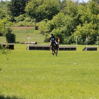 WESLEY CLOVER PARKS - Updated October 2025 - 63 Photos - 411 Corkstown ...