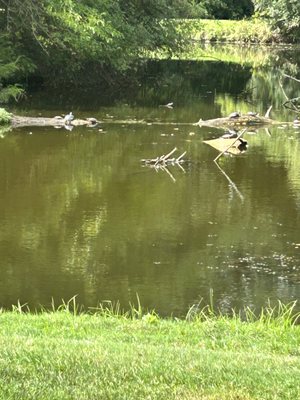 BIG WALNUT GOLF COURSE - Updated December 2025 - 26 Photos - 6683 OH-61 ...