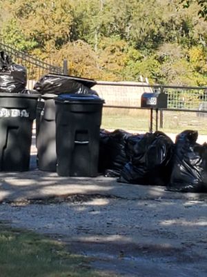 COMMUNITY WASTE DISPOSAL - Updated December 2025 - 24 Photos & 58 ...