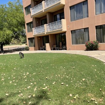 SCOTTSDALE MARRIOTT AT MCDOWELL MOUNTAINS - Updated February 2025 - 148 ...