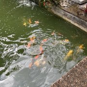 JESSE DURKO’S NURSERY - 96 Photos & 34 Reviews - 5151 SW 70th Ave ...