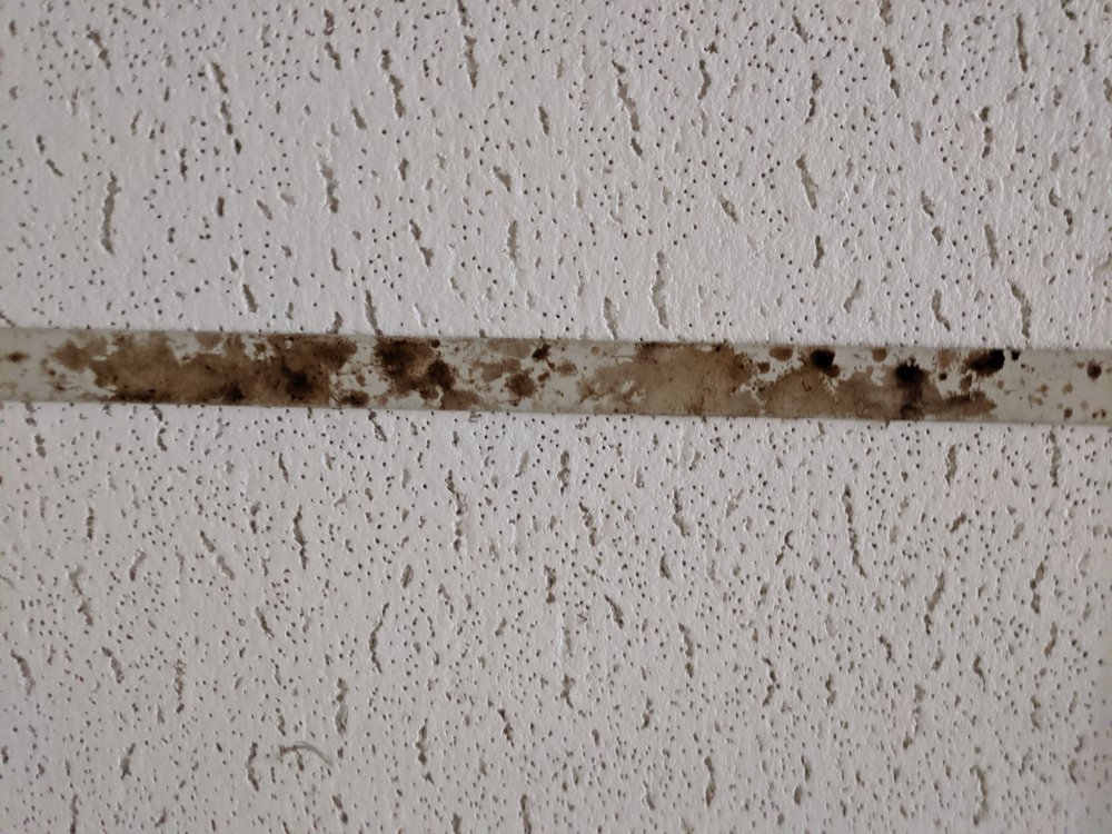 THE BROOKLYN HOSPITAL CENTER - 50 Photos & 201 Reviews - 121 Dekalb Ave ...