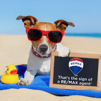 LAURIE SANDOVAL - RE/MAX PALM REALTY - Updated July 2025 - 17 Photos ...