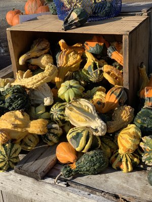 WILKENS FRUIT AND FIR FARM - 290 Photos & 152 Reviews - Fruits ...