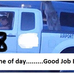 Securitas Reviews | Read Customer Service Reviews of securitas.com