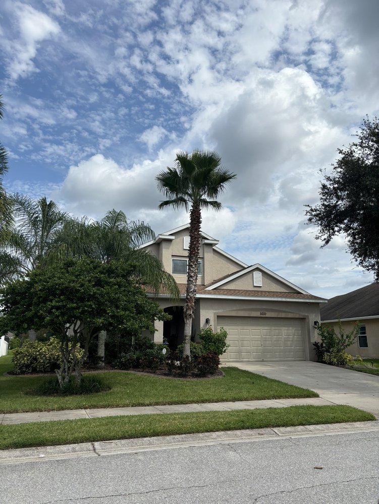 JSD TREE & LANDSCAPE - Updated September 2024 - Bradenton, Florida ...